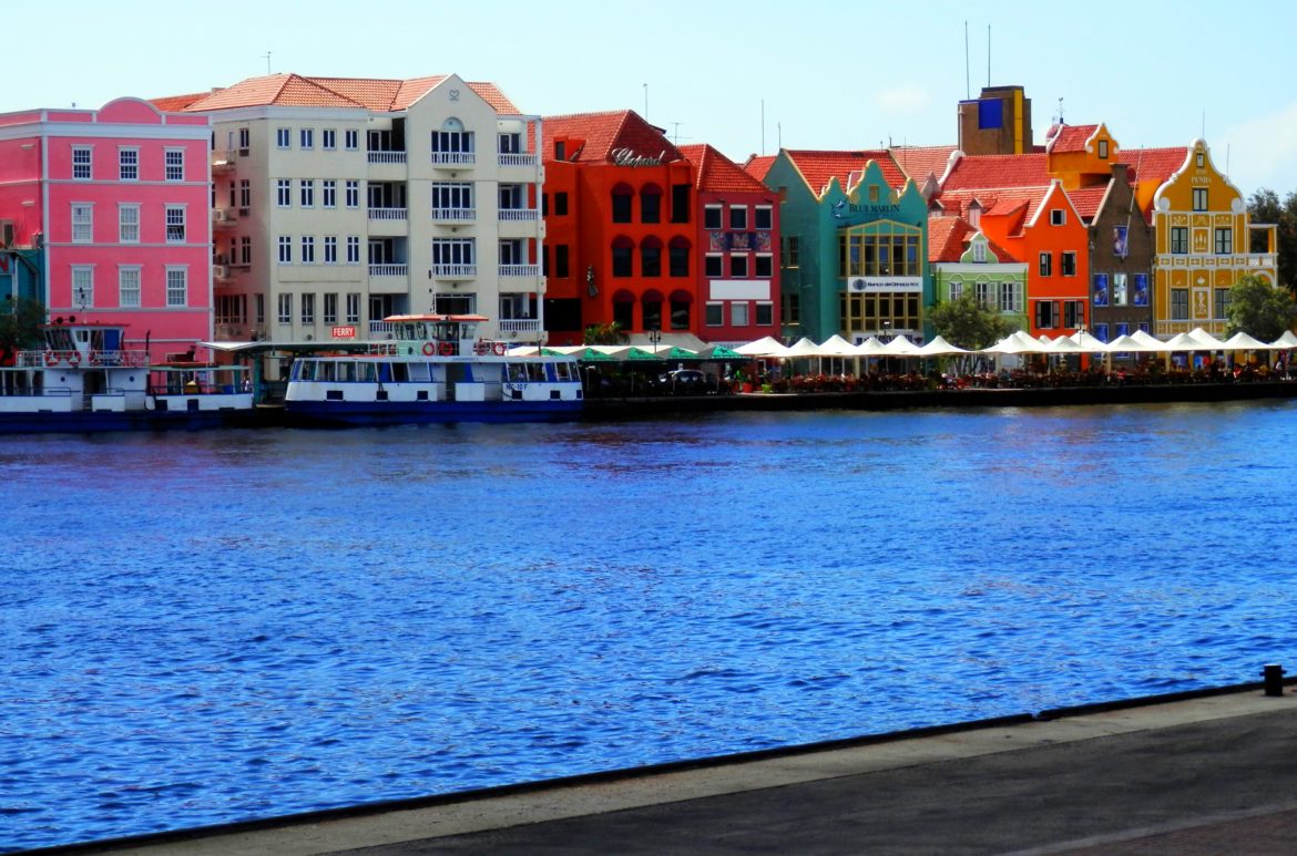 Ticking Off My Bucket List: Swimming With Dolphins in Curaçao – Flying ...